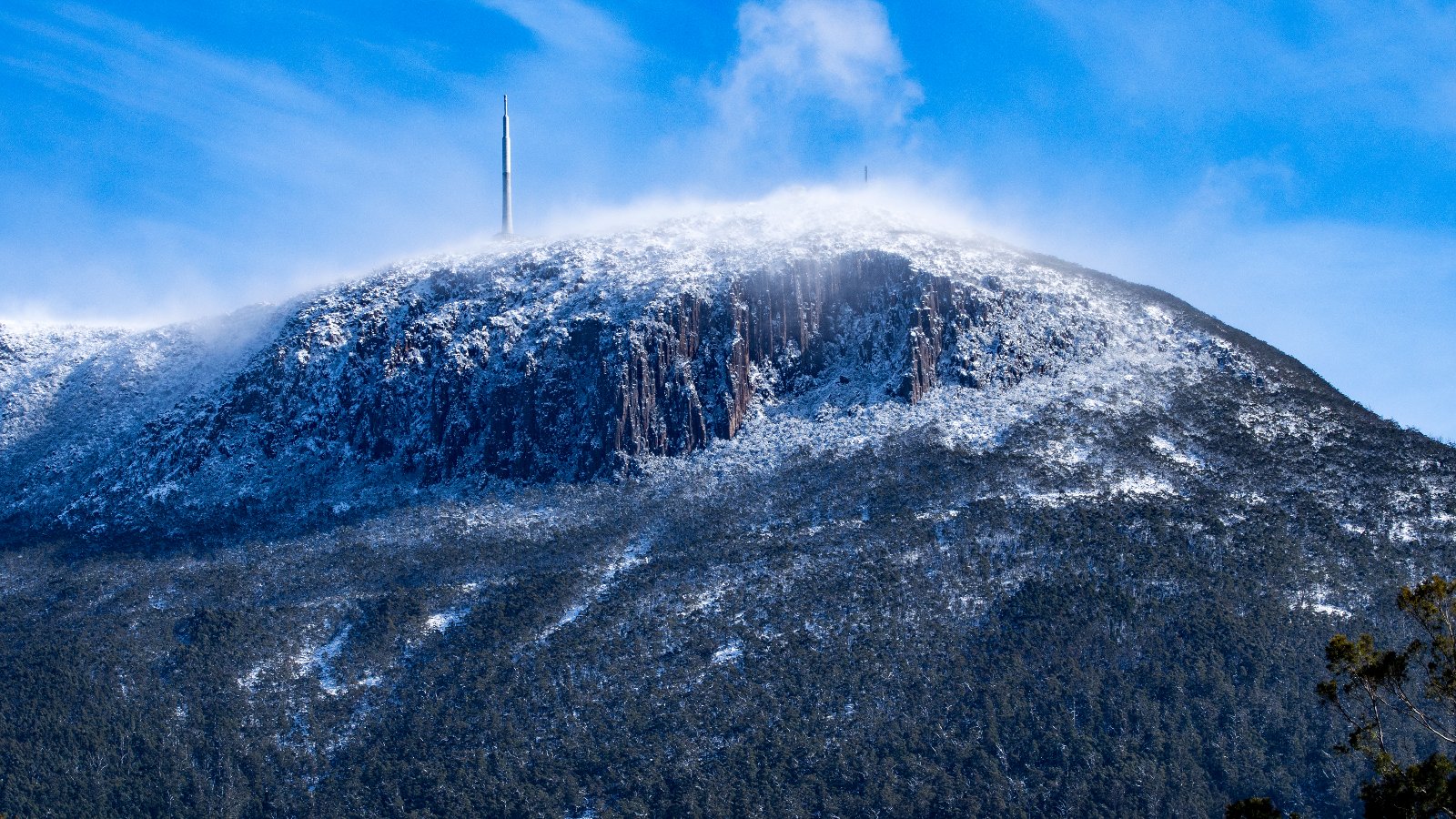 Tasmanian Greens MPs | kunanyi/Mount Wellington Review