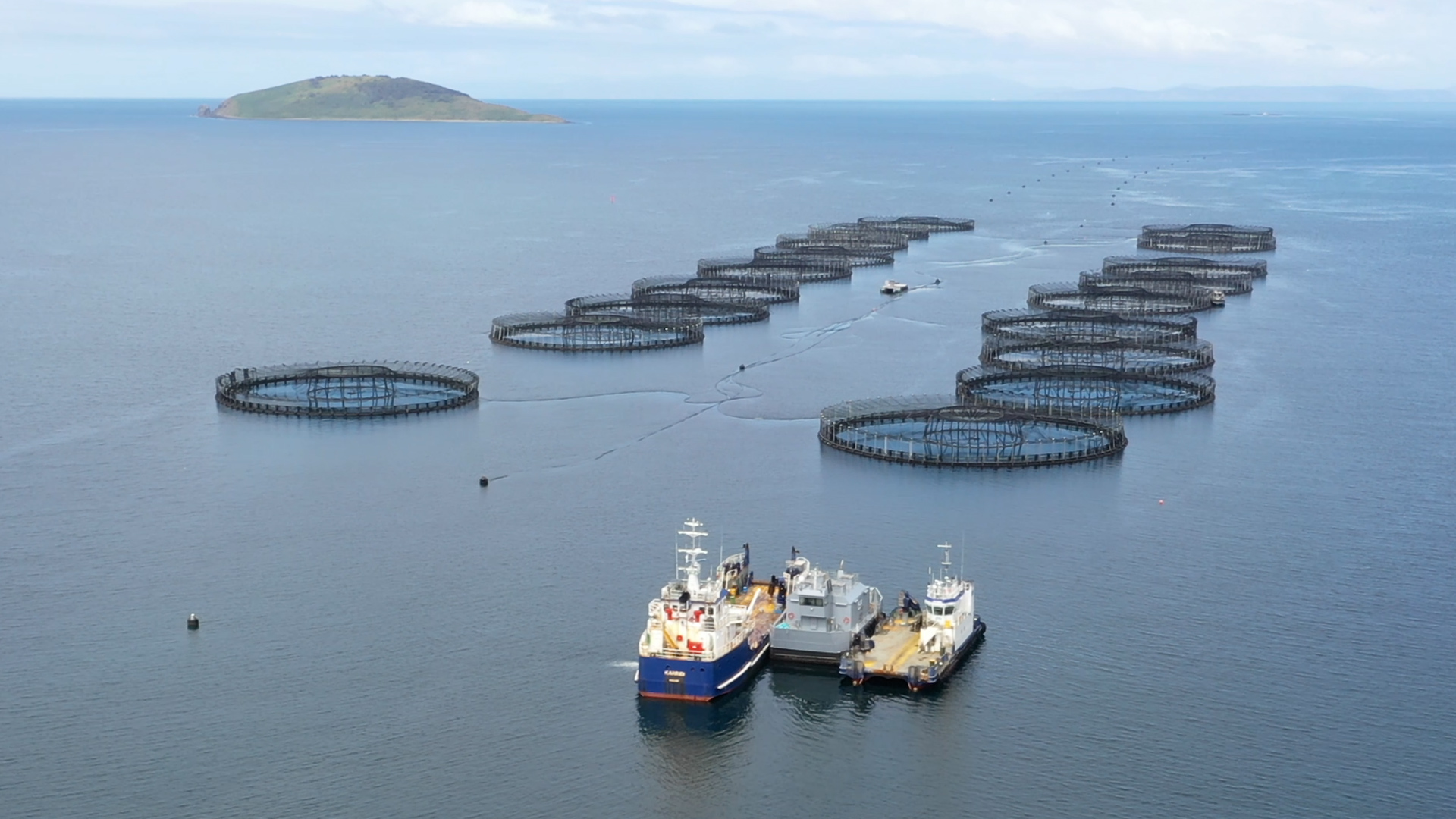 Tasmanian Greens MPs | Premier - Salmon Farming in Long Bay
